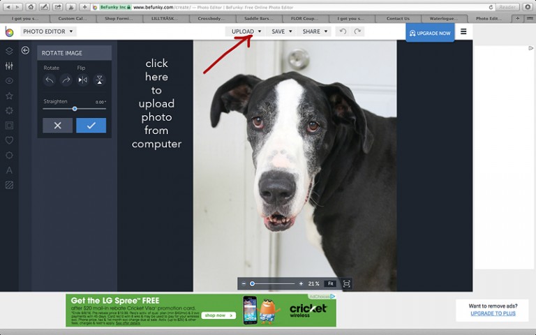 Watercolor Pet Portraits - Bower Power