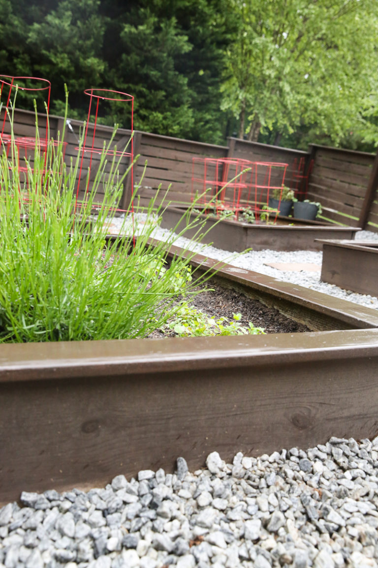 The Happy Garden 2019 - Bower Power