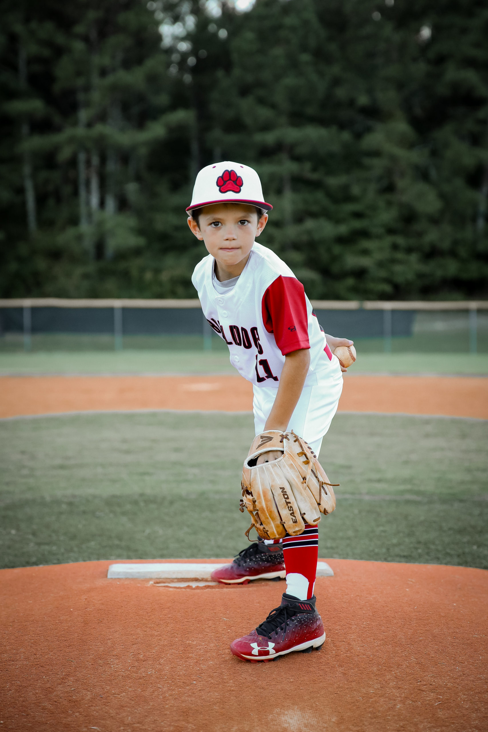 Baseball Photos - Bower Power